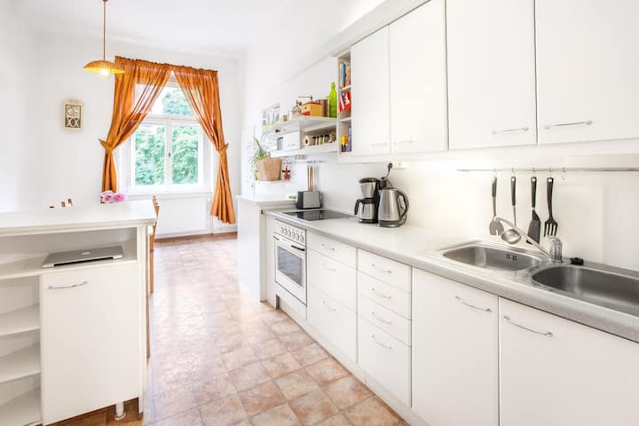 *Spacious,2bdrooms,central,quiet* - Praga
