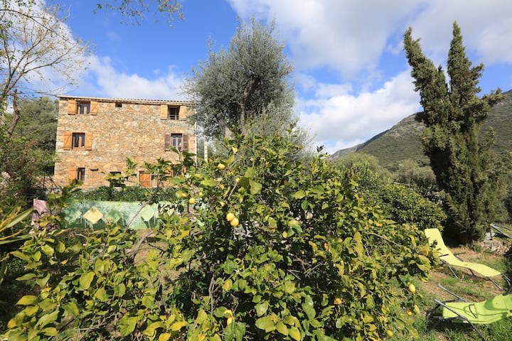 Maison Typique Dans Un Hameau Proche De Cargèse - Cargèse