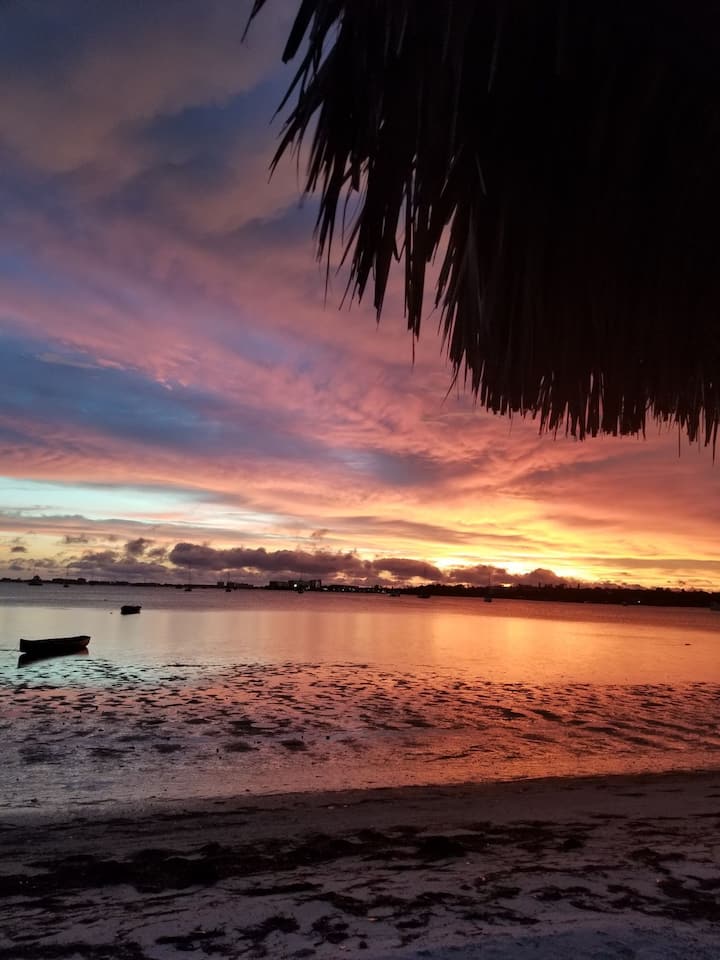 Comfortable Cozy Beachy Condo Close To Everything - St. Petersburg