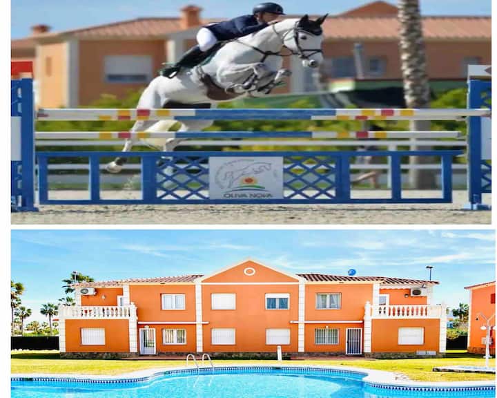 Oliva Nova Equestrian Centre Met Club Sevilla Vi - Oliva