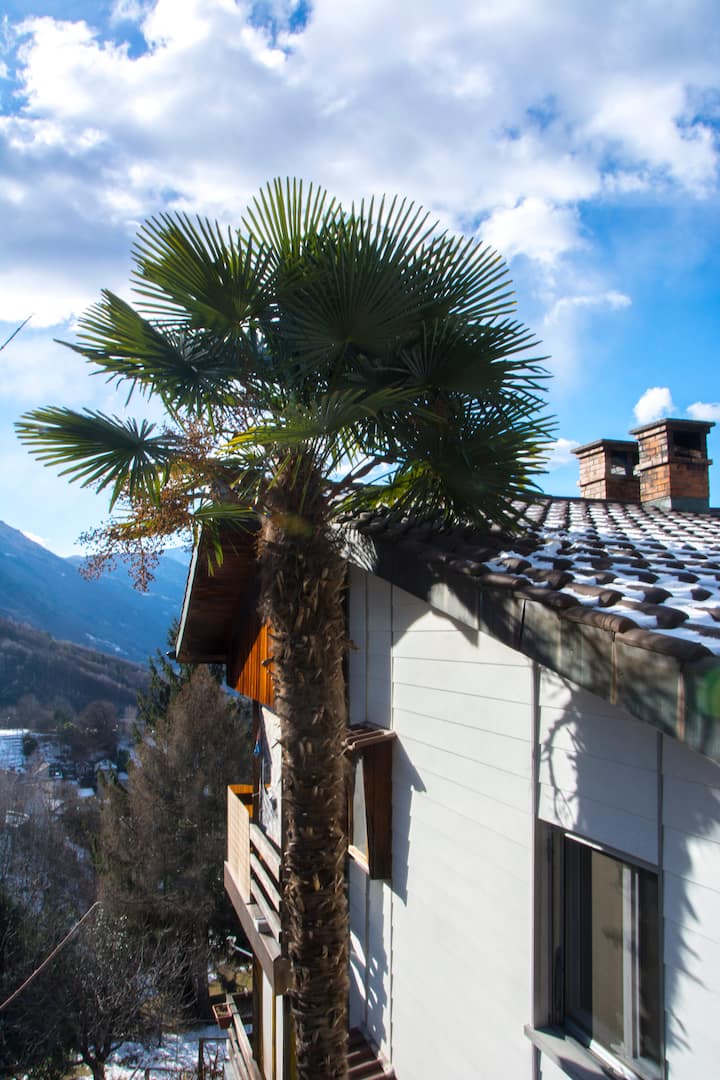 Appartement Avec Vue Sur Vallée Et Lac - Canton du Tessin