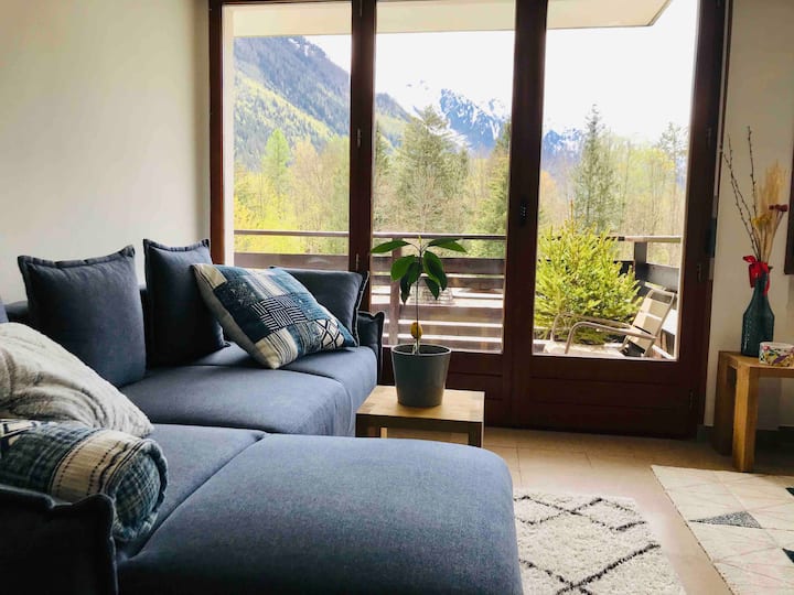 Appartement Cosy, Proche Centre Et Vue Mont Blanc. - Chamonix