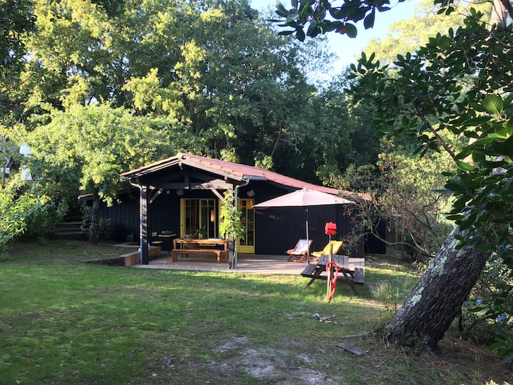 Cabane (O) Pyla - Arcachon