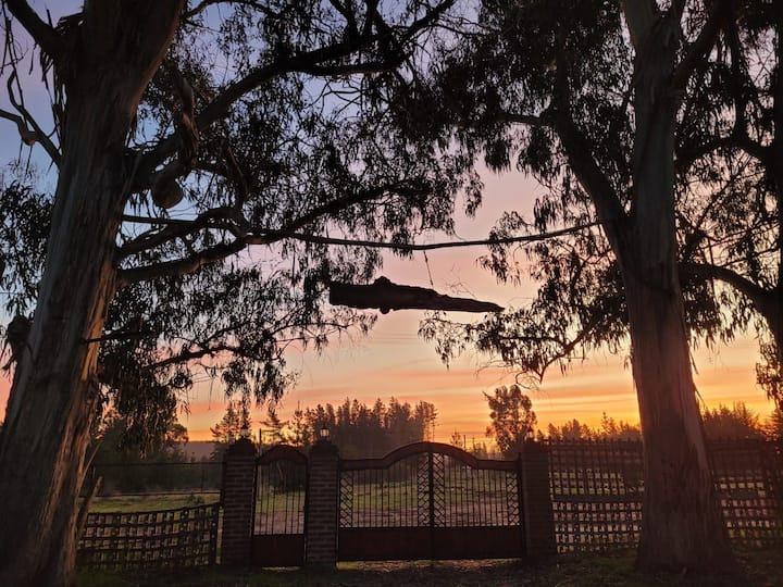 Acogedora Cabaña Para Descansar - Algarrobo