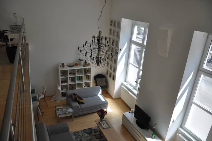 Bright 2 Bedroom Loft In Front Of Park - Viena