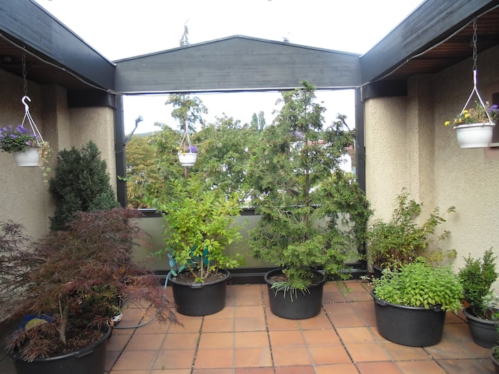 2 Zimmerwohnung Taunus Blick  2 Og-h8 - Bad Nauheim