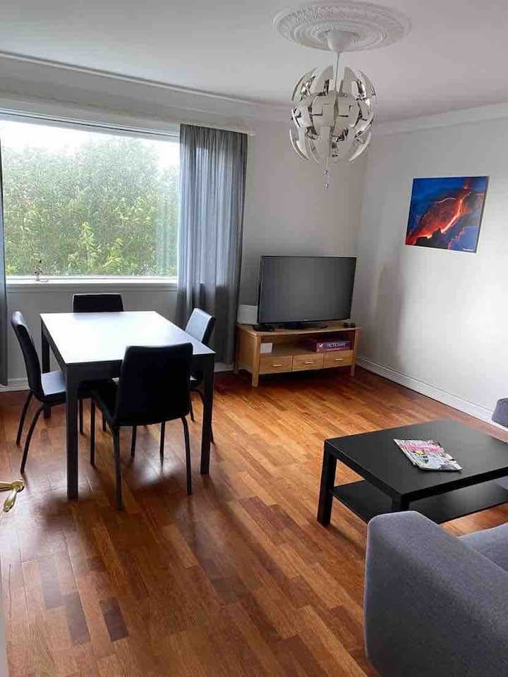 Beautiful Apartment Downtown Reykjavík - Reykjavík
