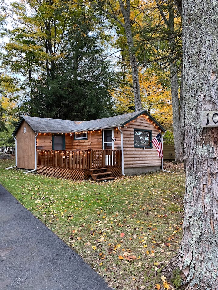 Cozy Smallwood Cabin – Dog Friendly, Near Bethel - Bethel, NY