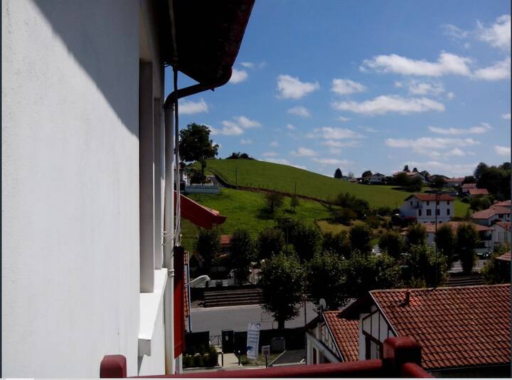 Appartement Luminuex, Centre Ville. - Hasparren