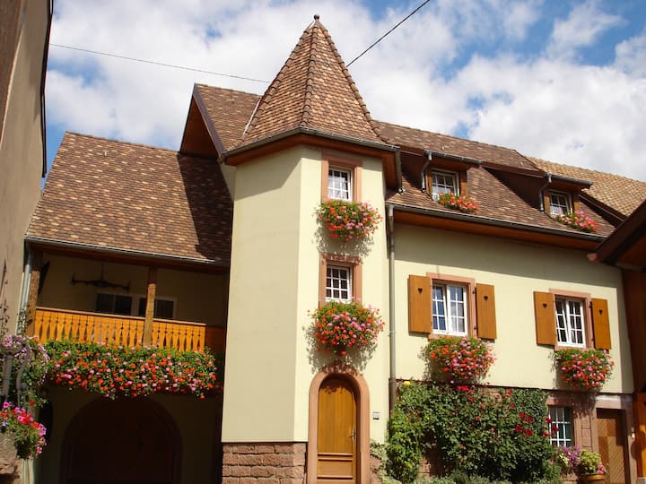 Appartement Spacieux Entre Vignoble Et Montagne - Lac du Ballon