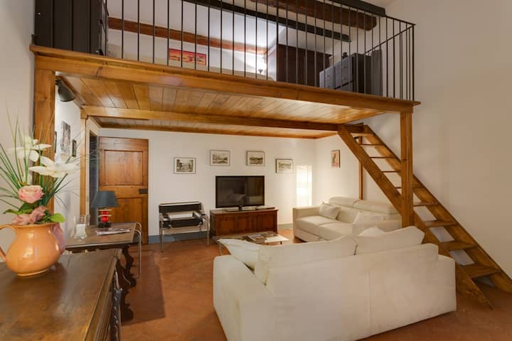 Casa De Peruzzi Is 50 Meters From Piazza Santa Croce (A / C And Wifi) - Florence