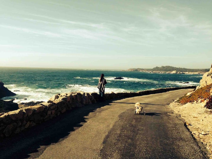 Close To Carmel Beach -Priv Studio 4 Medical Prof - Monterey, CA