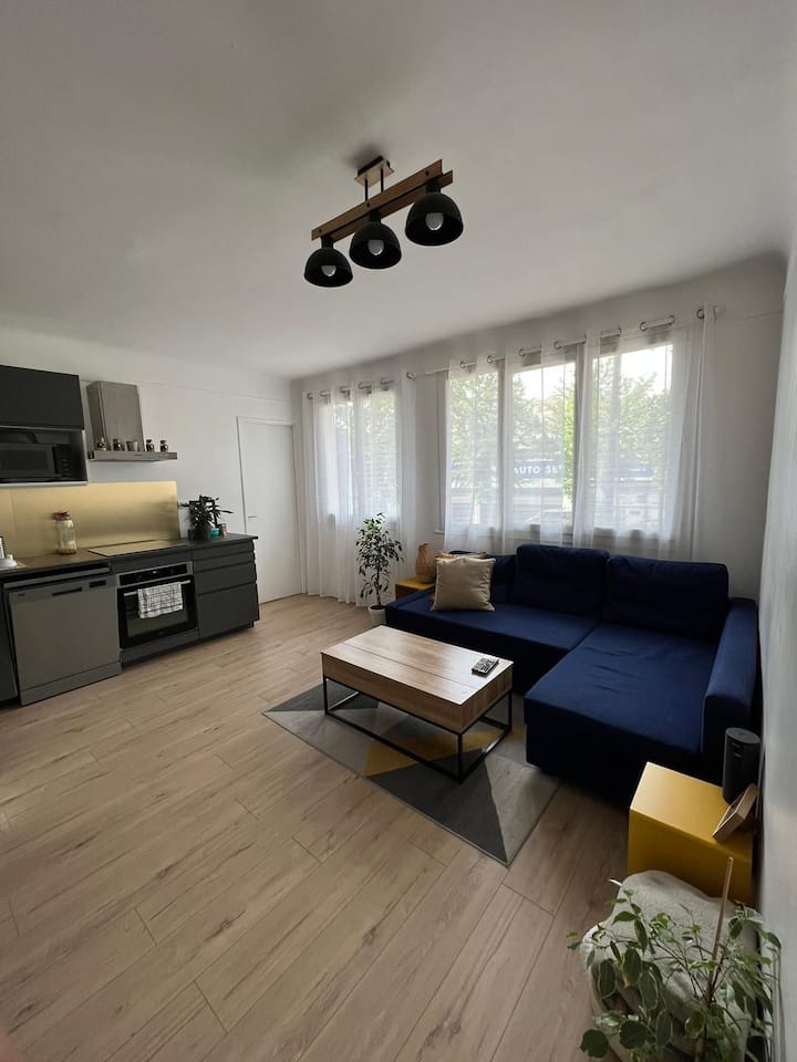 Appartement 2 Pièces Bagneux Métro 4 - Paris 15e Arrondissement