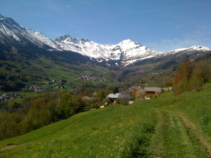 Chalet Montagne Savoie Domaine Skiable Valmorel - Les Avanchers-Valmorel