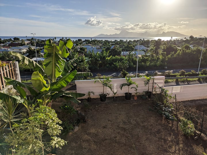 Duplex 3ch Jardin Vue Moorea - Tahiti