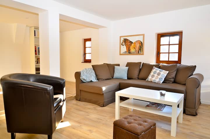 Lumineux Duplex Centre Riquewihr - Colmar