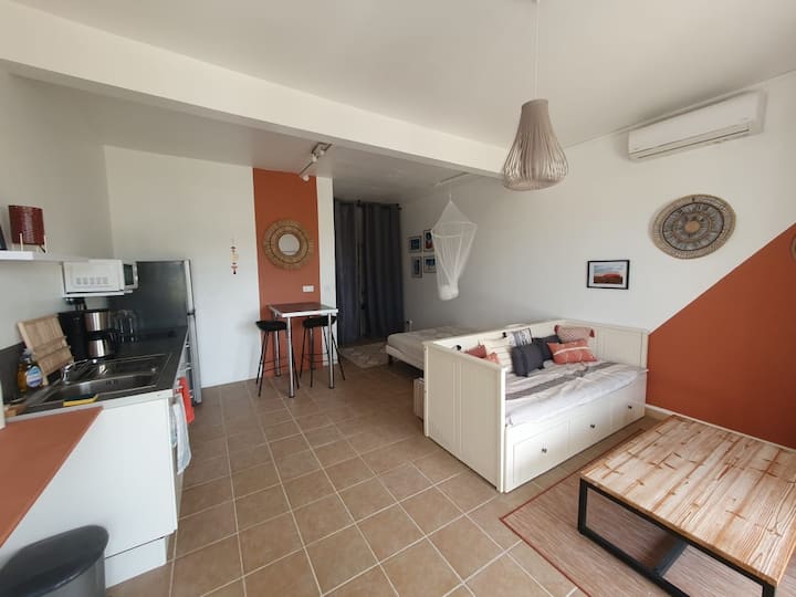 Appartement T1 En Bas De Villa - Zone Ducos - 마르티니크