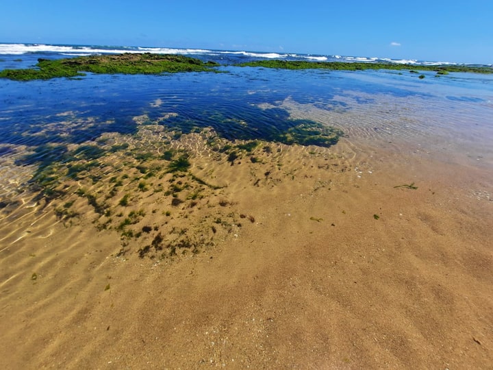 Ipitanga- Praias Do Litoral - Lauro de Freitas