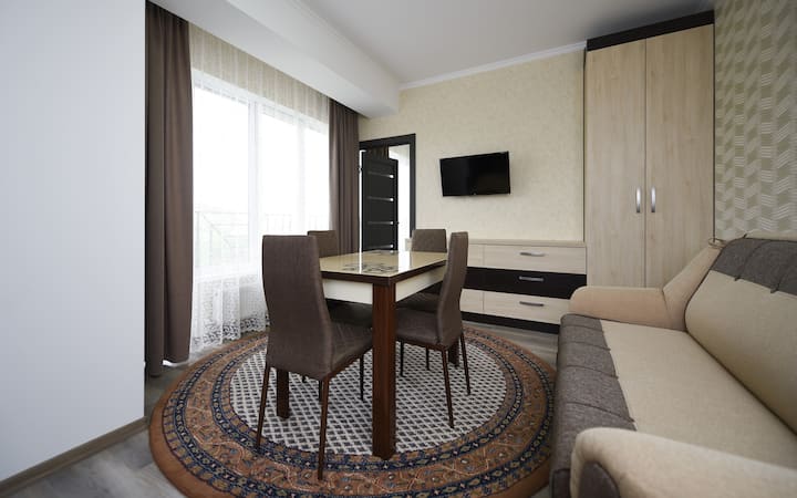 (6)apartment Recently Built,near The City Center - 基希訥烏