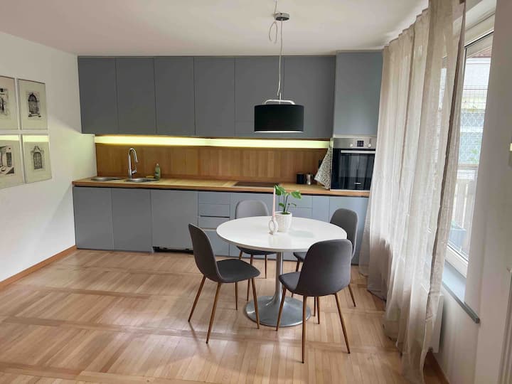 Comfy Flat In City-free Parking - Ljubljana