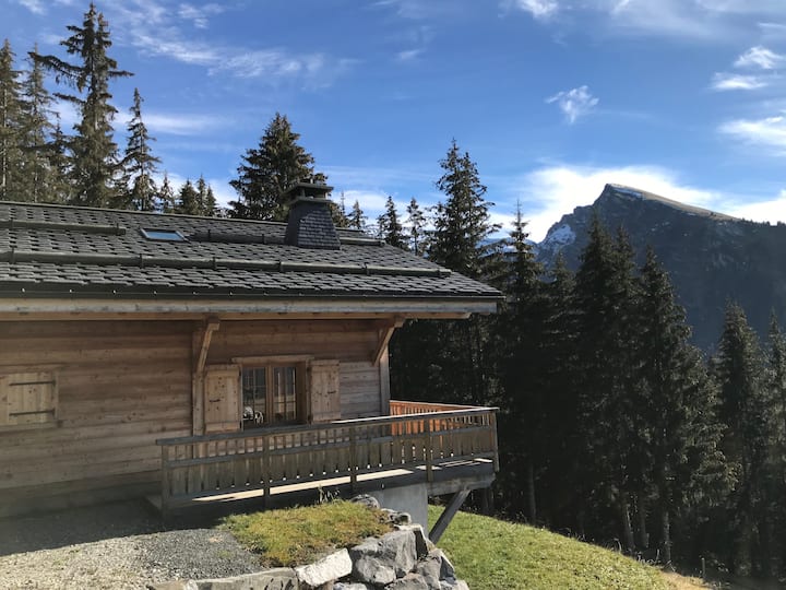 Chalet Au Calme Avec Vue Panoramique - Avoriaz