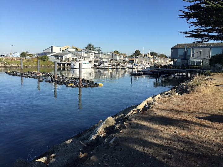 Alameda Waterside Home With 36' Boat Dock - Alameda, CA