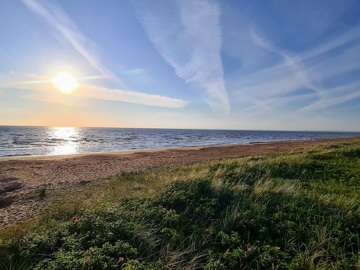 Strandnära Stuga - Mellbystrand