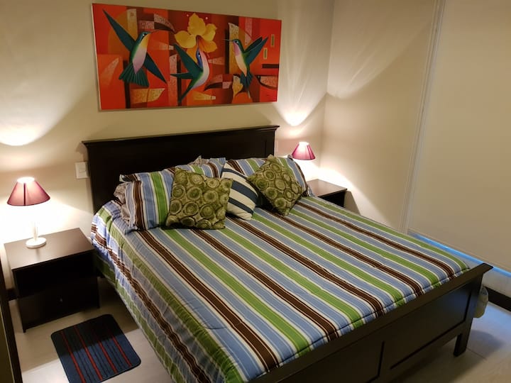 🌐 5⭐ Suite Ecovia & Tunnel Guayasamin - Quito (Ecuador)