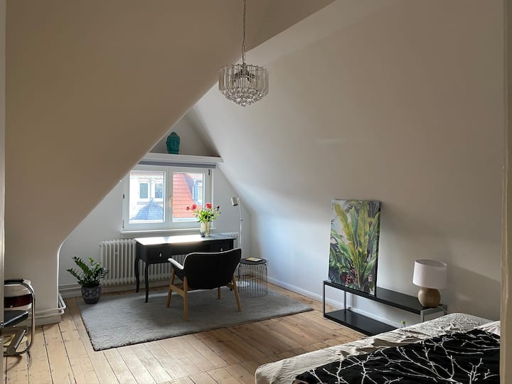 Quiet Super-cozy Room Sharing Roof Terrace - Mannheim