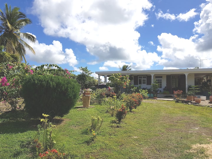Marie Galante, L'île Aux 100 Moulins! - Marie-Galante