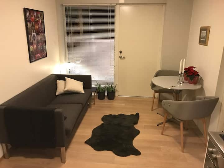 Modern Apartment In A Residential Area - Tromsø