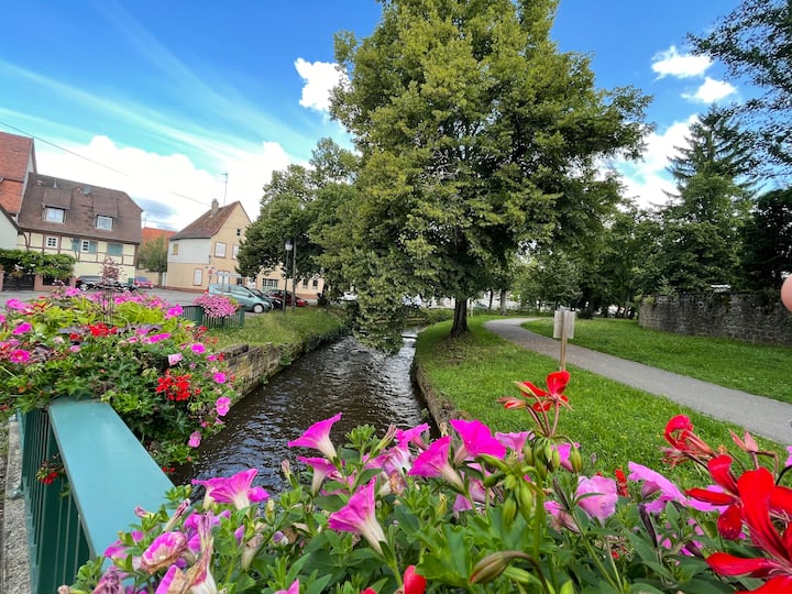 Au Calme, à Wissembourg, Un Logement Paisible. - Wissembourg