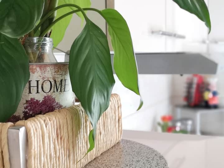 Cute Apartment July - Free Private Parking Spot - Split