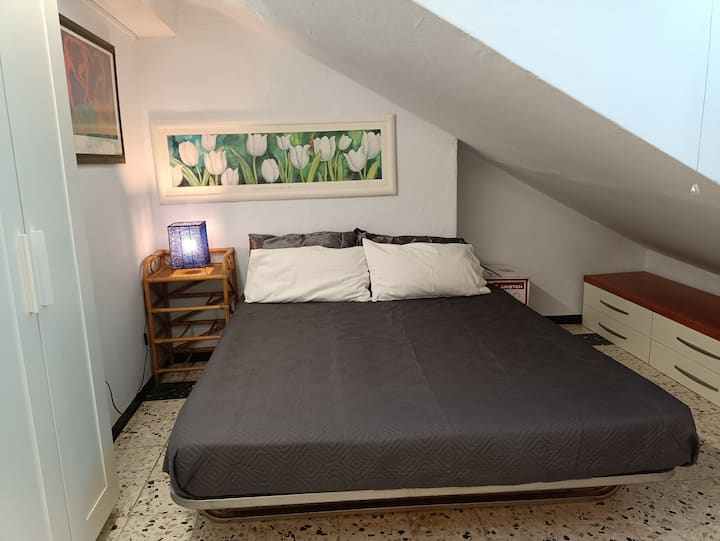 A Small Nest Under The Roof - Turin