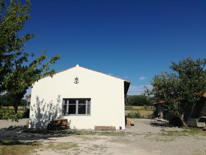 Gîte " Côté Cour" - Saint-Gilles