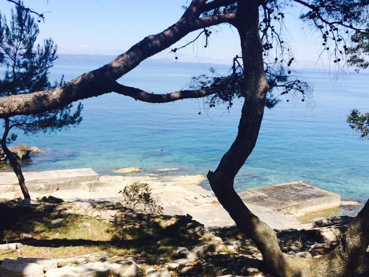 Stunning View - Smokvica