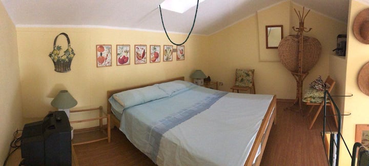 Il Mare Sui Tetti
Cod. Cin It011017c248rxucic - Levanto