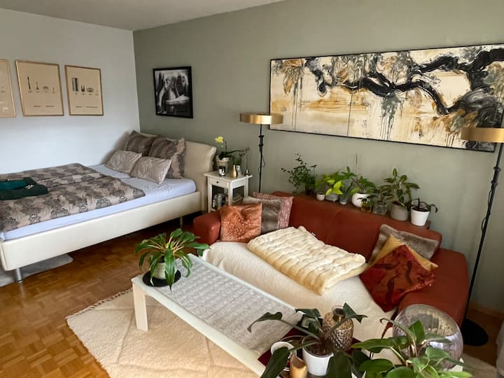 Cosy Place With Spacious Terrace - Zurique