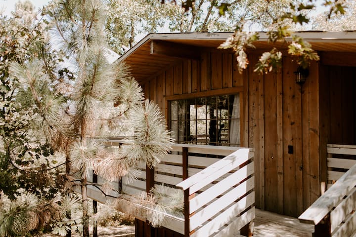 |The Cottage|
Sacred Mountain - Julian, CA