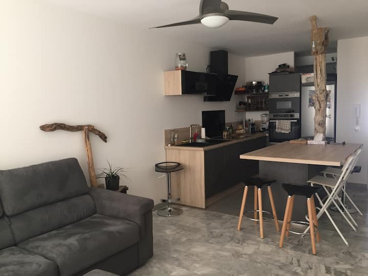 Proche Des Plages Et Animations. - Juan-les-Pins
