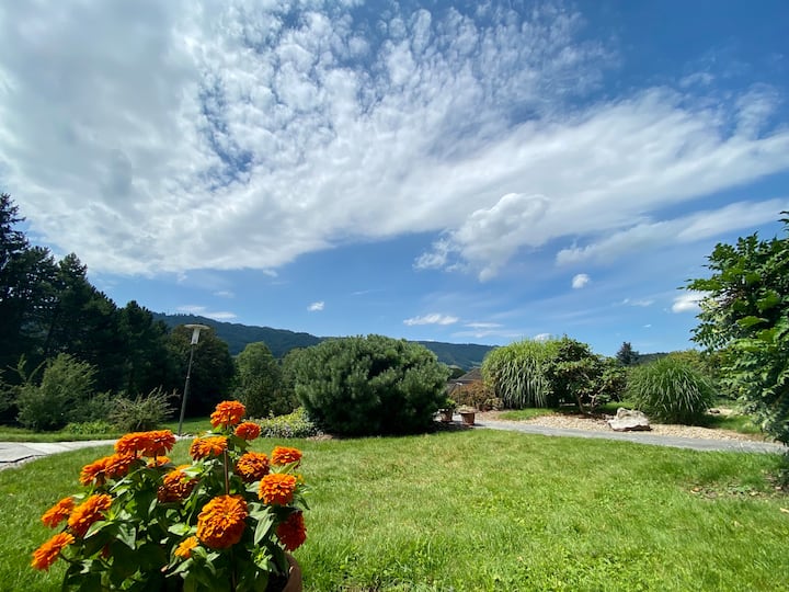 Ruhige Gartenwohnung Zwischen Zürich Und Zug - Erlenbach