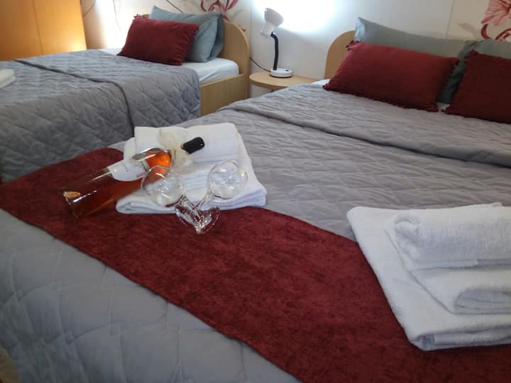 The Most Central Skopje Apartment, City Center - Skopje