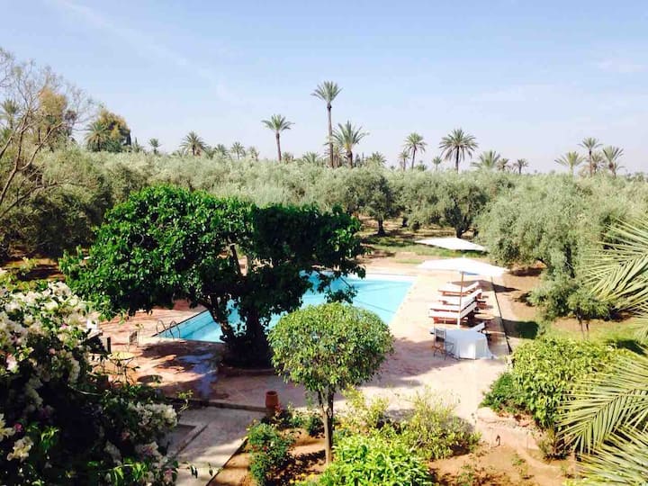 Villa De Luxe : Domaine Paradisiaque D’oliviers - Marrakech