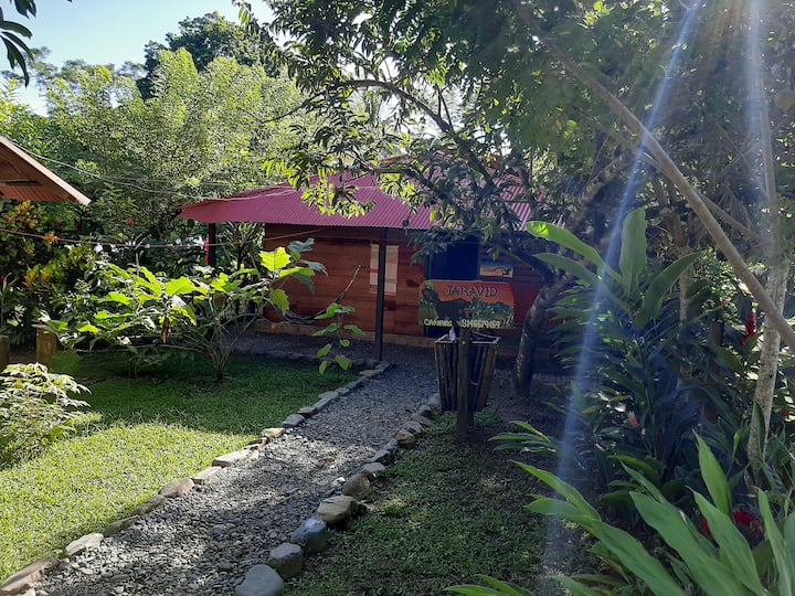 Parejas Jaravid Aventuras De Selva Y Mar. - Chocó