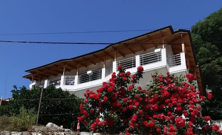 Eduard Apartments 1 - Piqeras