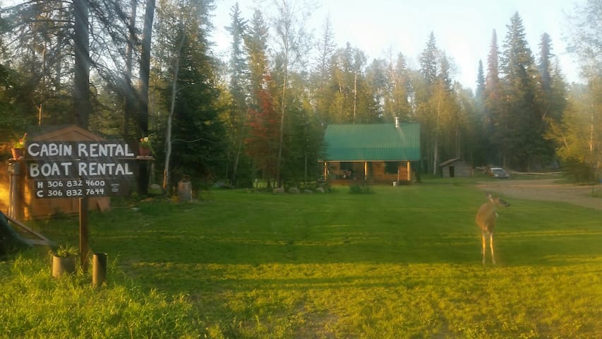 8 Best Fishing Lodges In Saskatchewan, Canada | Trip101