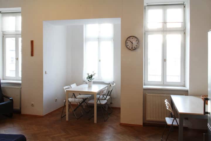 Large Apartment No°1 In Central Prague - Prága