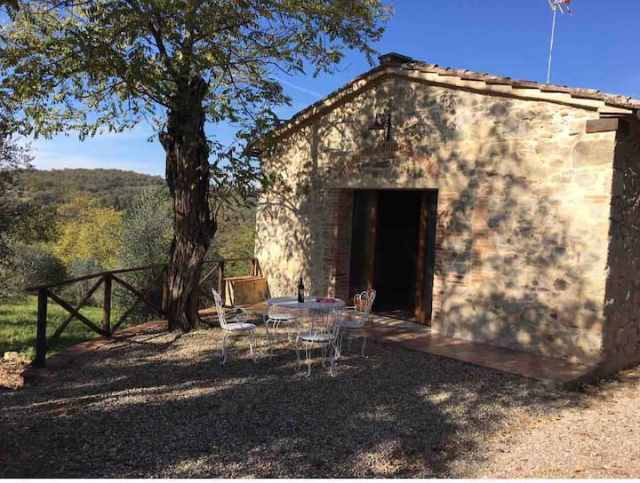 Chianti Cottage - Radda in Chianti