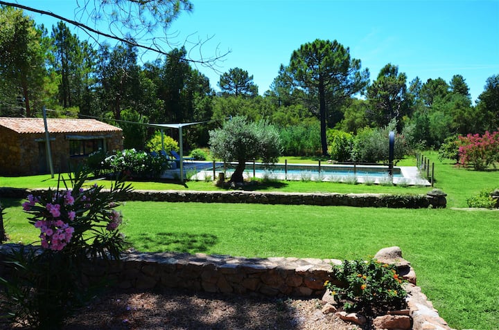 Maison 10 Pers. Immense Terrain Piscine Pétanque - Plage de Palombaggia
