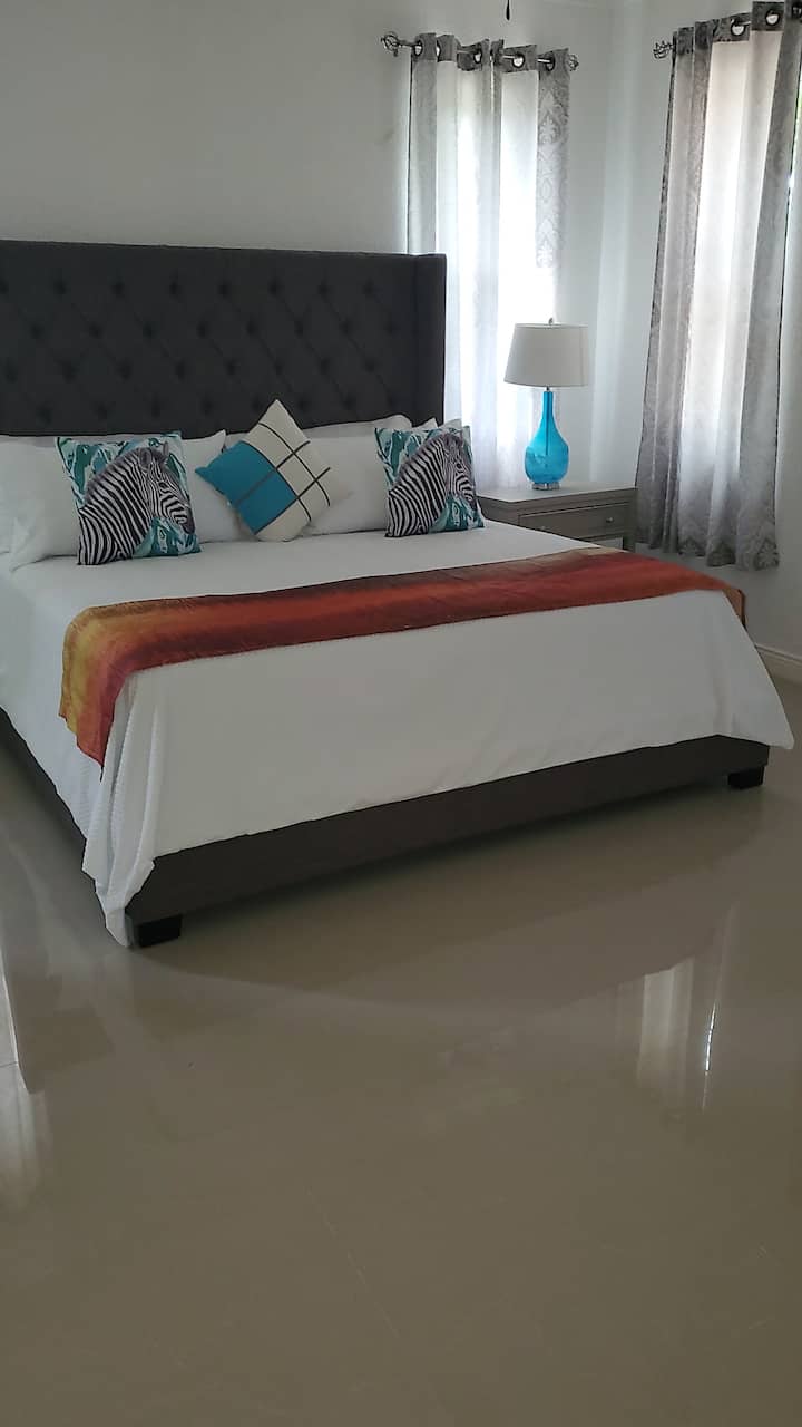 Bristol Oasis #1 - Kingston